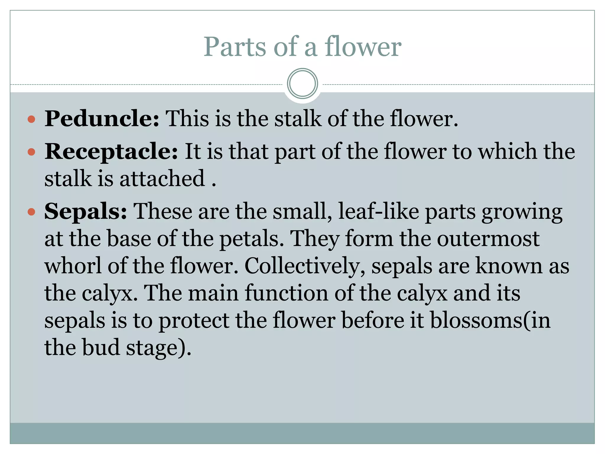 TYPES OF FLOWERS, FRUITS,DICOT AND MONOCOT SEEDS | PPTX