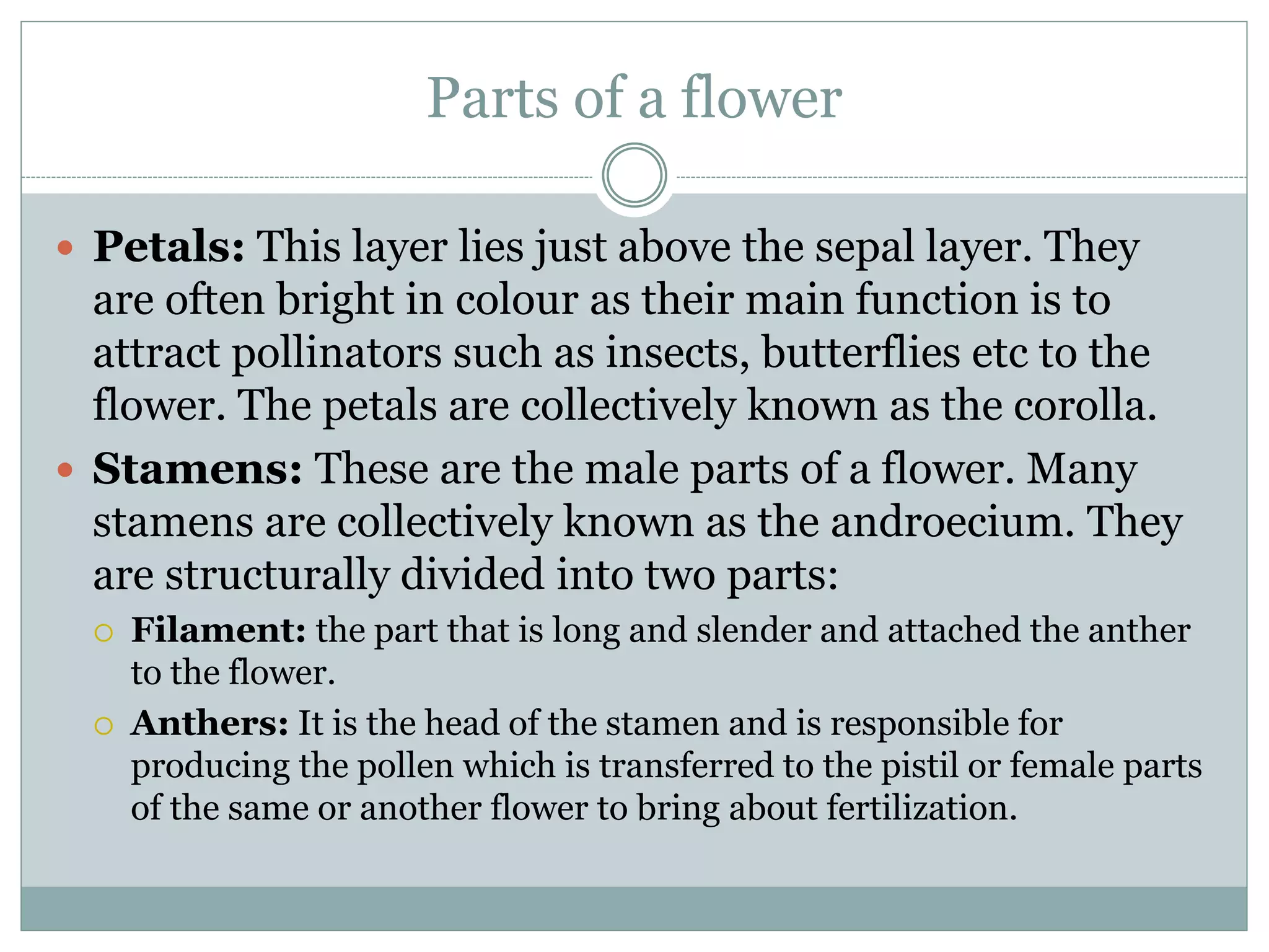 TYPES OF FLOWERS, FRUITS,DICOT AND MONOCOT SEEDS | PPTX