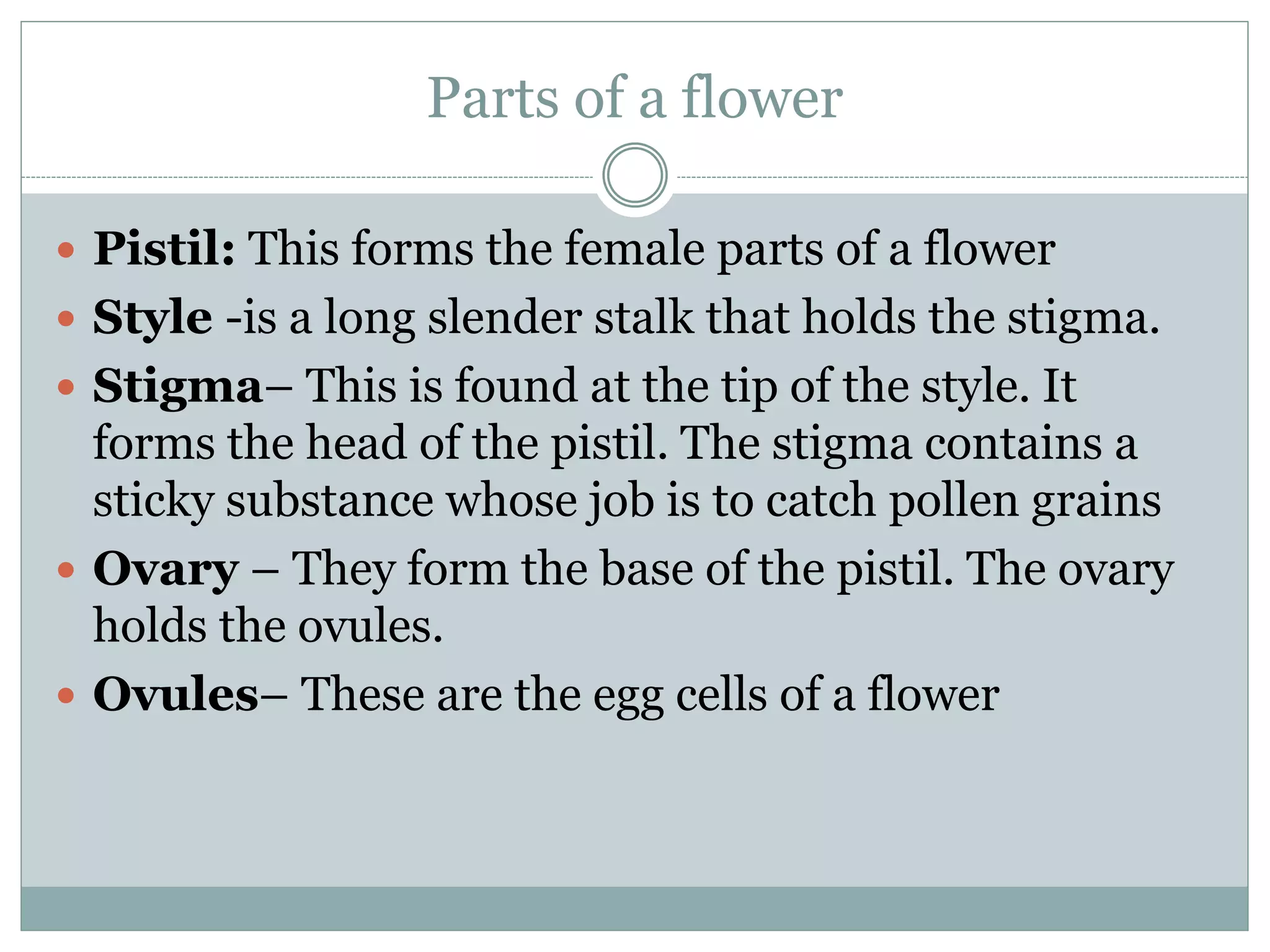 TYPES OF FLOWERS, FRUITS,DICOT AND MONOCOT SEEDS | PPTX