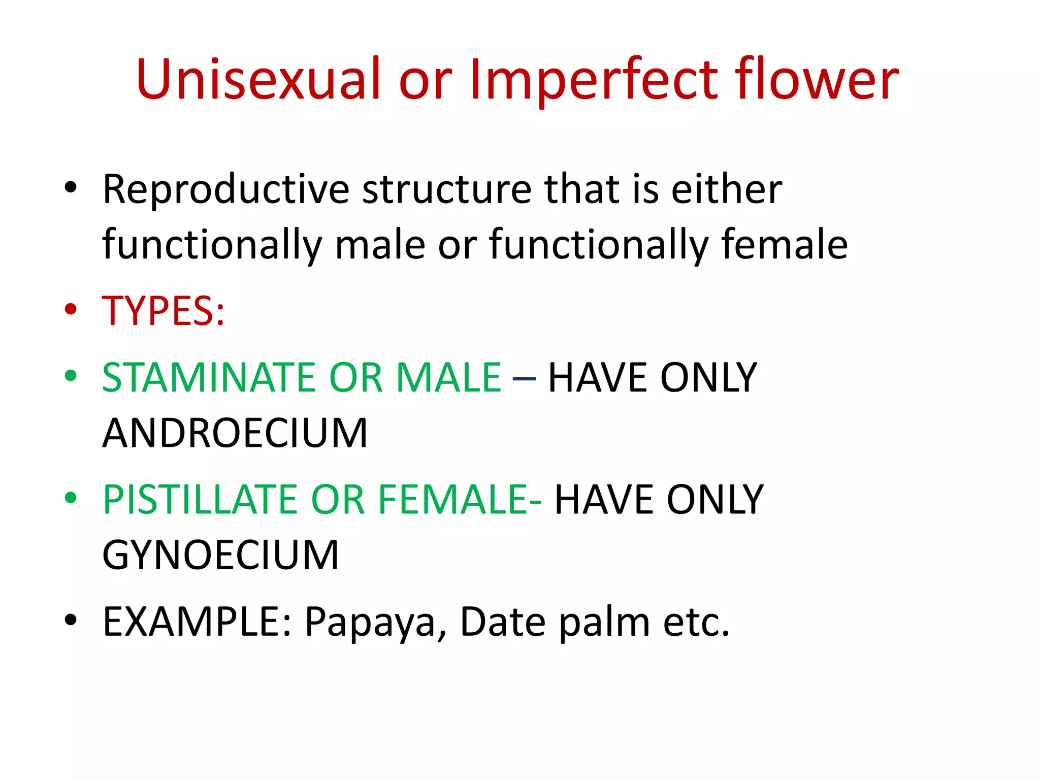 TYPES OF FLOWERS, FRUITS,DICOT AND MONOCOT SEEDS | PPTX