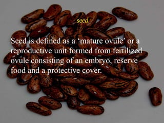 TYPES OF FLOWERS, FRUITS,DICOT AND MONOCOT SEEDS | PPTX