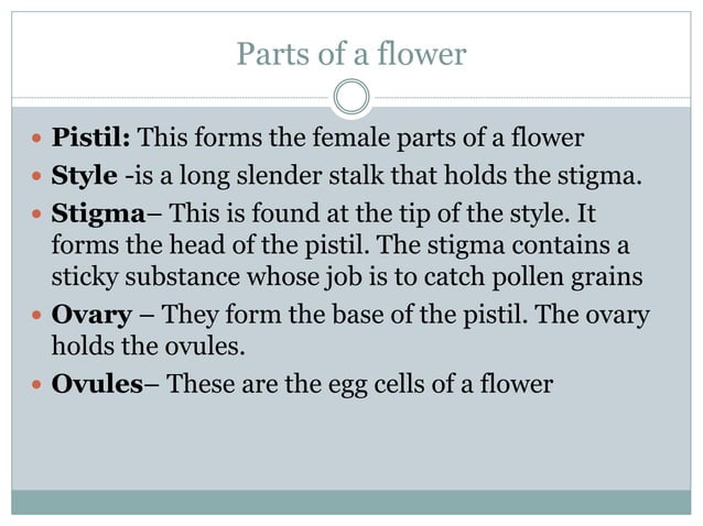 TYPES OF FLOWERS, FRUITS,DICOT AND MONOCOT SEEDS | PPTX