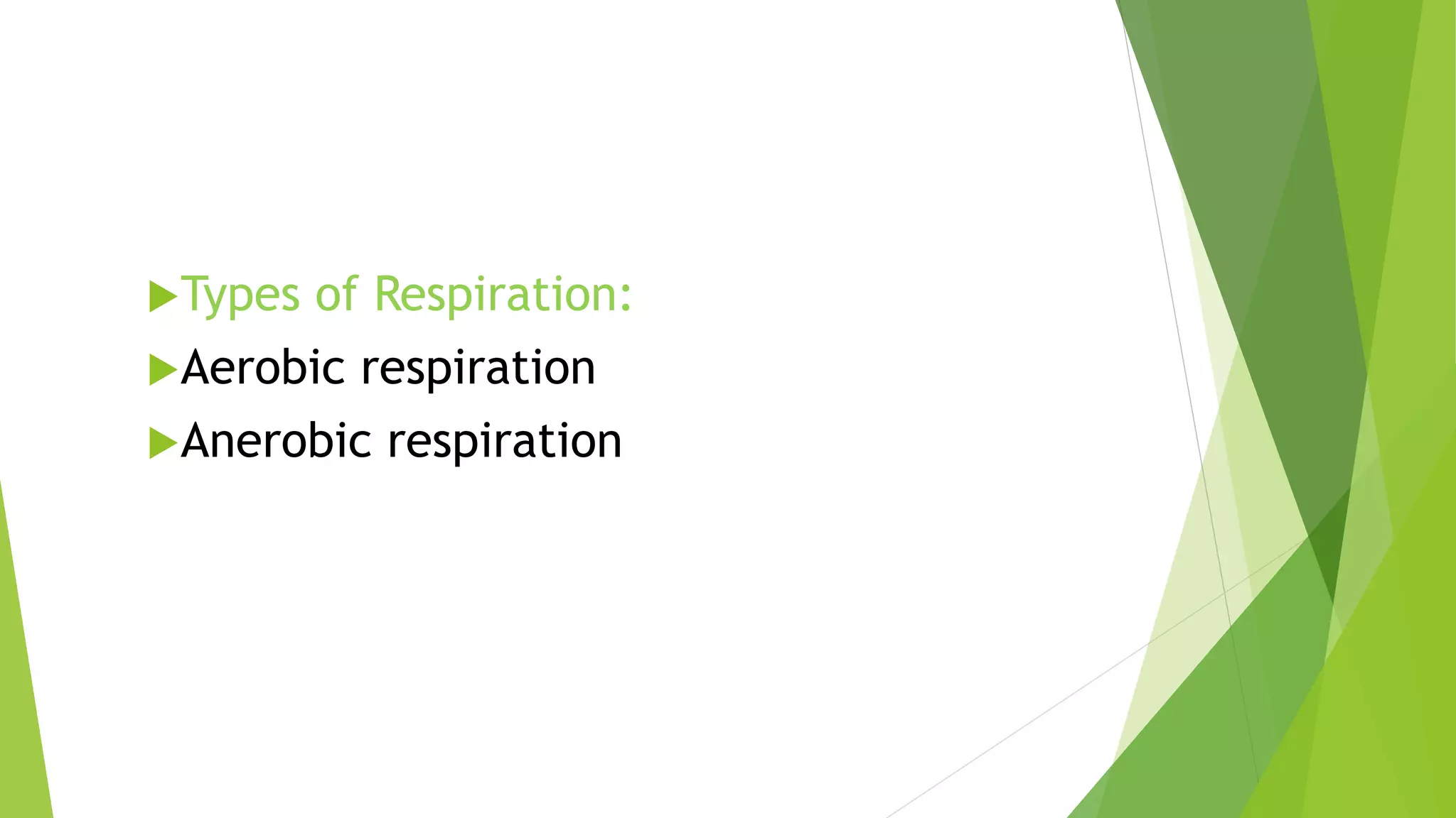 Respiration and it's types in plants | PPT