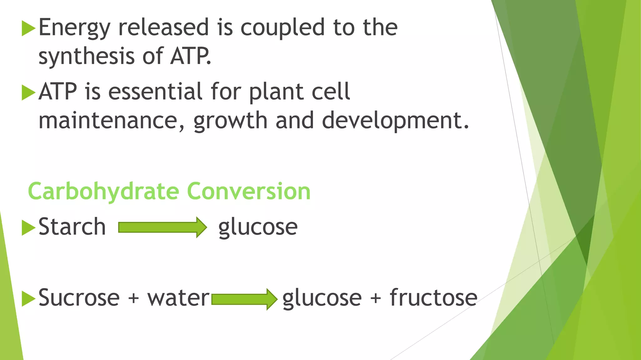 Respiration and it's types in plants | PPT