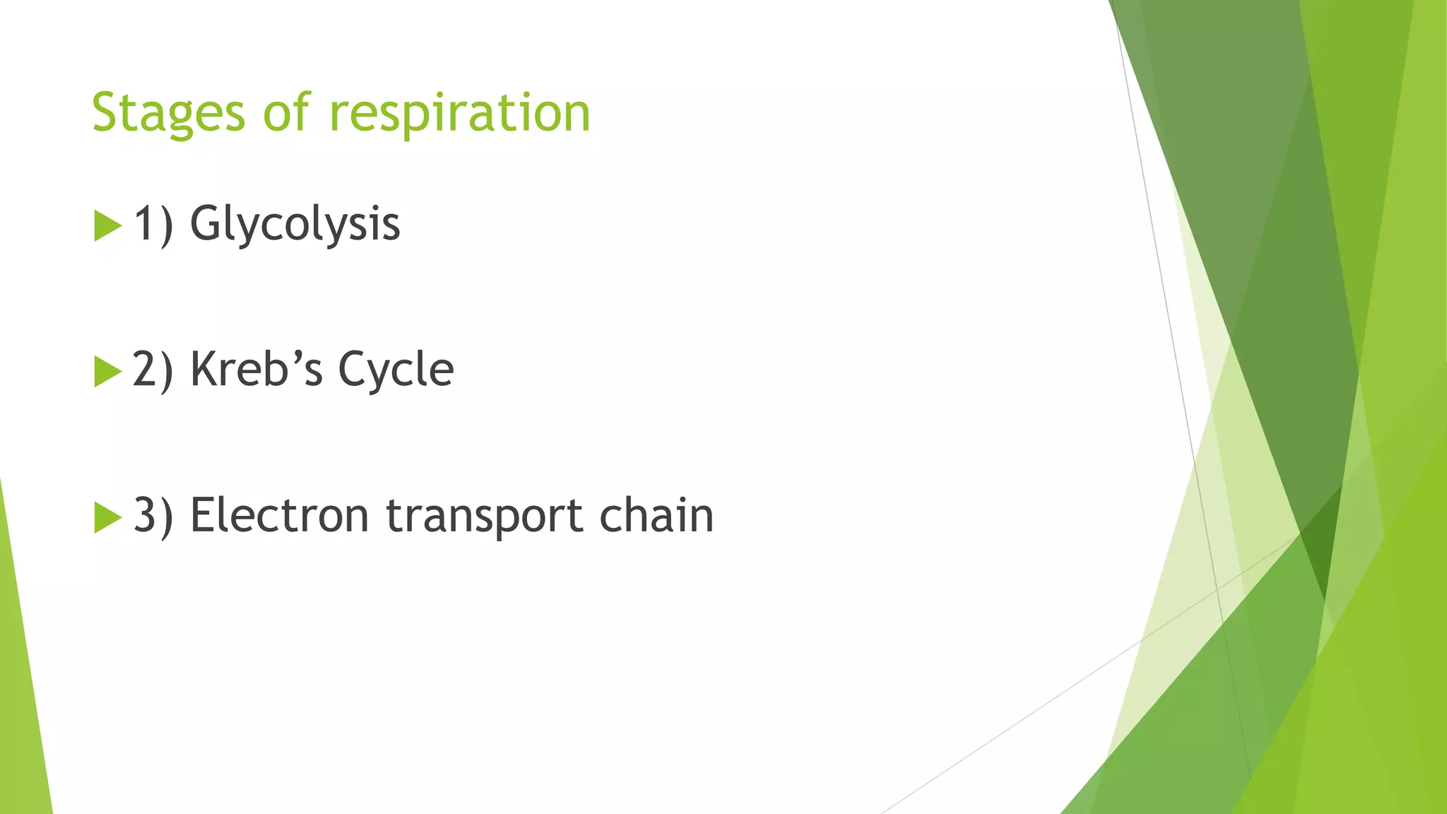 Respiration and it's types in plants | PPT