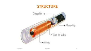 Ppt on Bio Chip by kyathi sushma | PPT