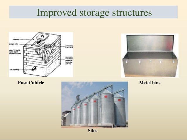 Insecticide resistance management strategies in Stored grain pests
