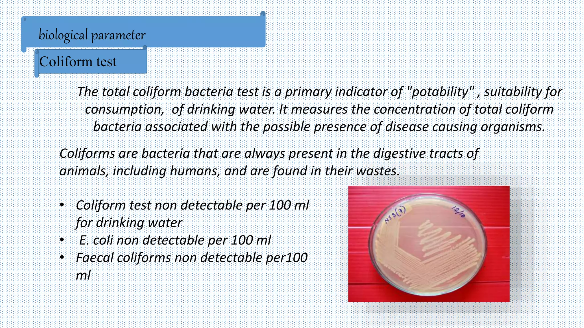 waste water and water pollution | PPTX