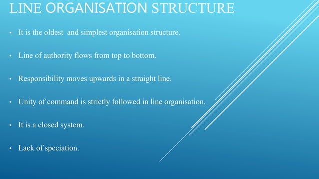 orgination structure | PPTX | Human Resources | Business