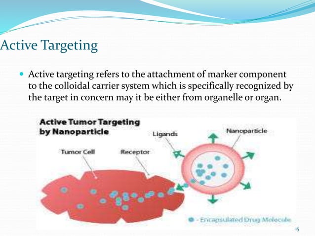 TUMOR TARGETING DRUG DELIVERY | PPTX | Cancer | Diseases and Conditions