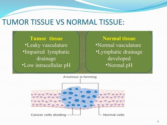 TUMOR TARGETING DRUG DELIVERY | PPTX | Cancer | Diseases and Conditions