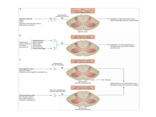 PAIN ASSESSMENT | PPTX
