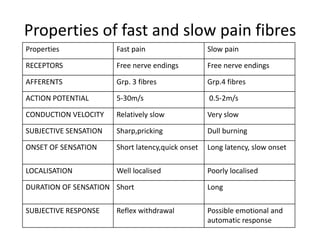 PAIN ASSESSMENT | PPT