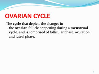 ovarian cycle | PPTX