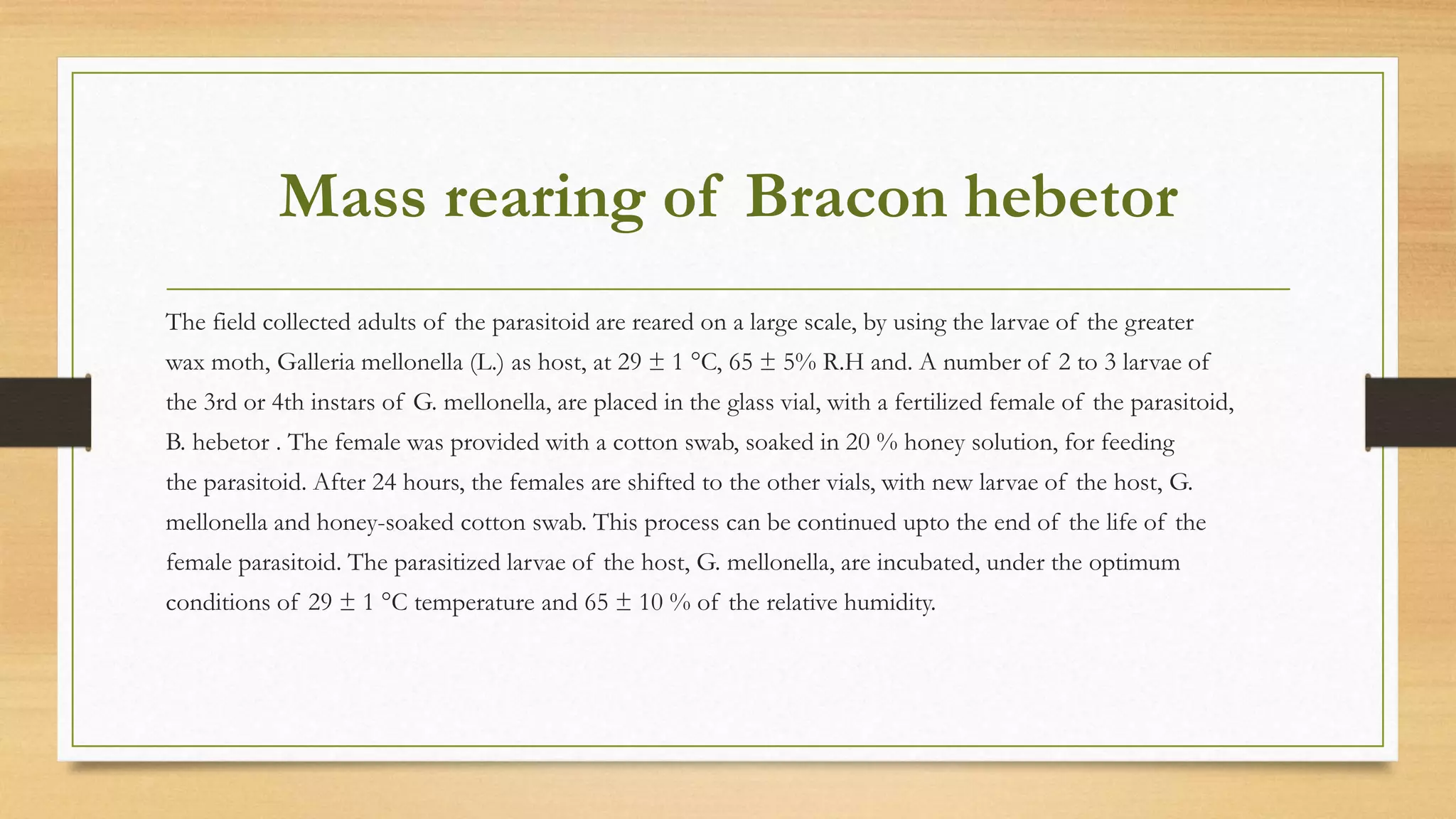 Bracon Hebetor | PPTX