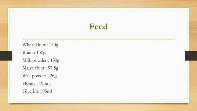 Bracon Hebetor | PPT