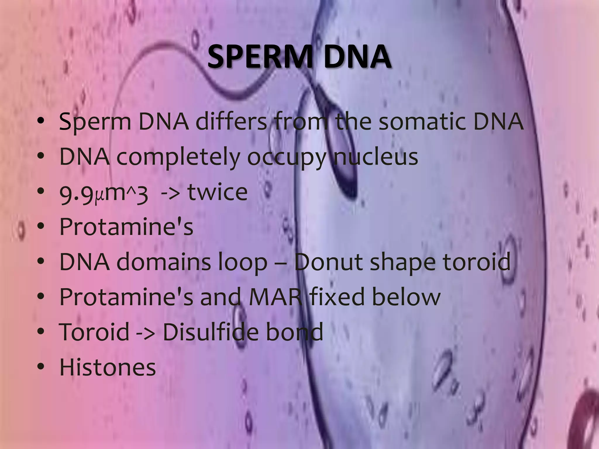 sperm chromatin test part 1 | PPTX