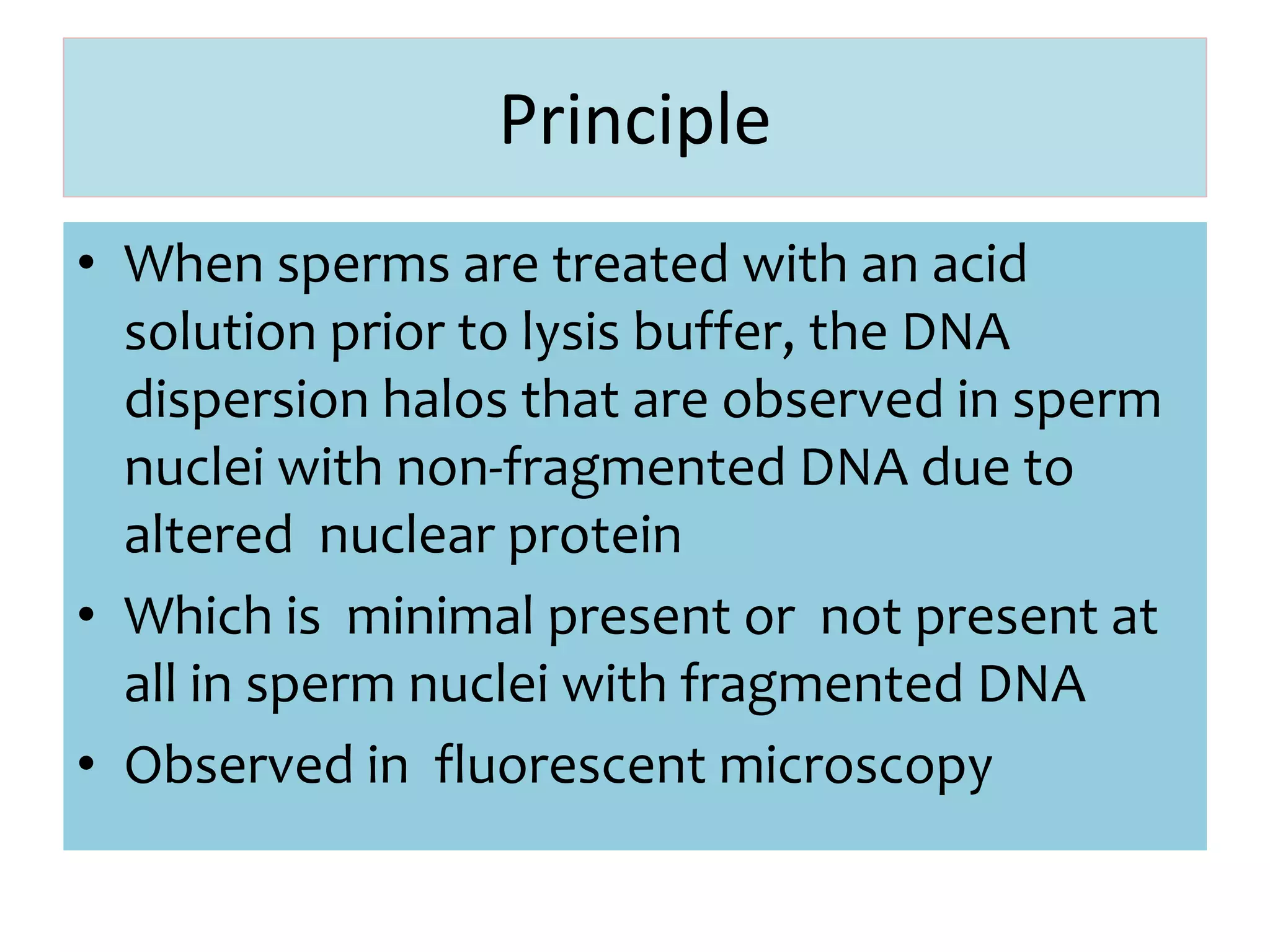 sperm chromatin test part 1 | PPTX