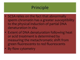 sperm chromatin test part 1 | PPTX