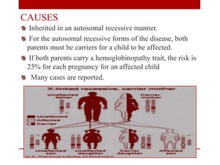 thalassemia | PPTX