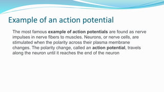 action potential presentation | PPTX