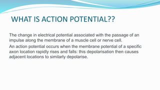 action potential presentation | PPTX