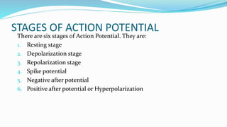 action potential presentation | PPTX