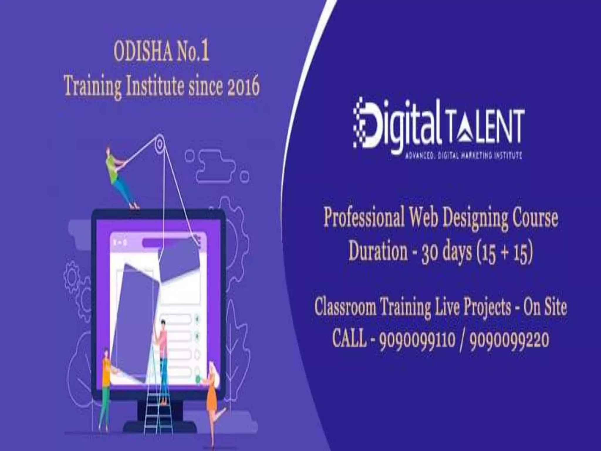 Professional Web Designing Course | PPTX
