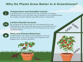 Green house | PPTX