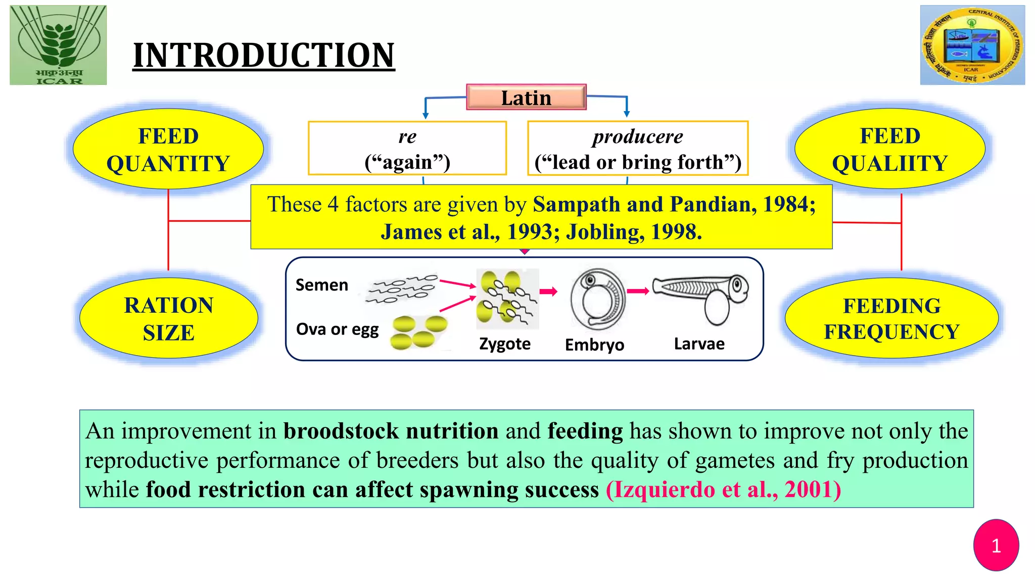 Relationship between feeding and reproduction in fish | PPTX