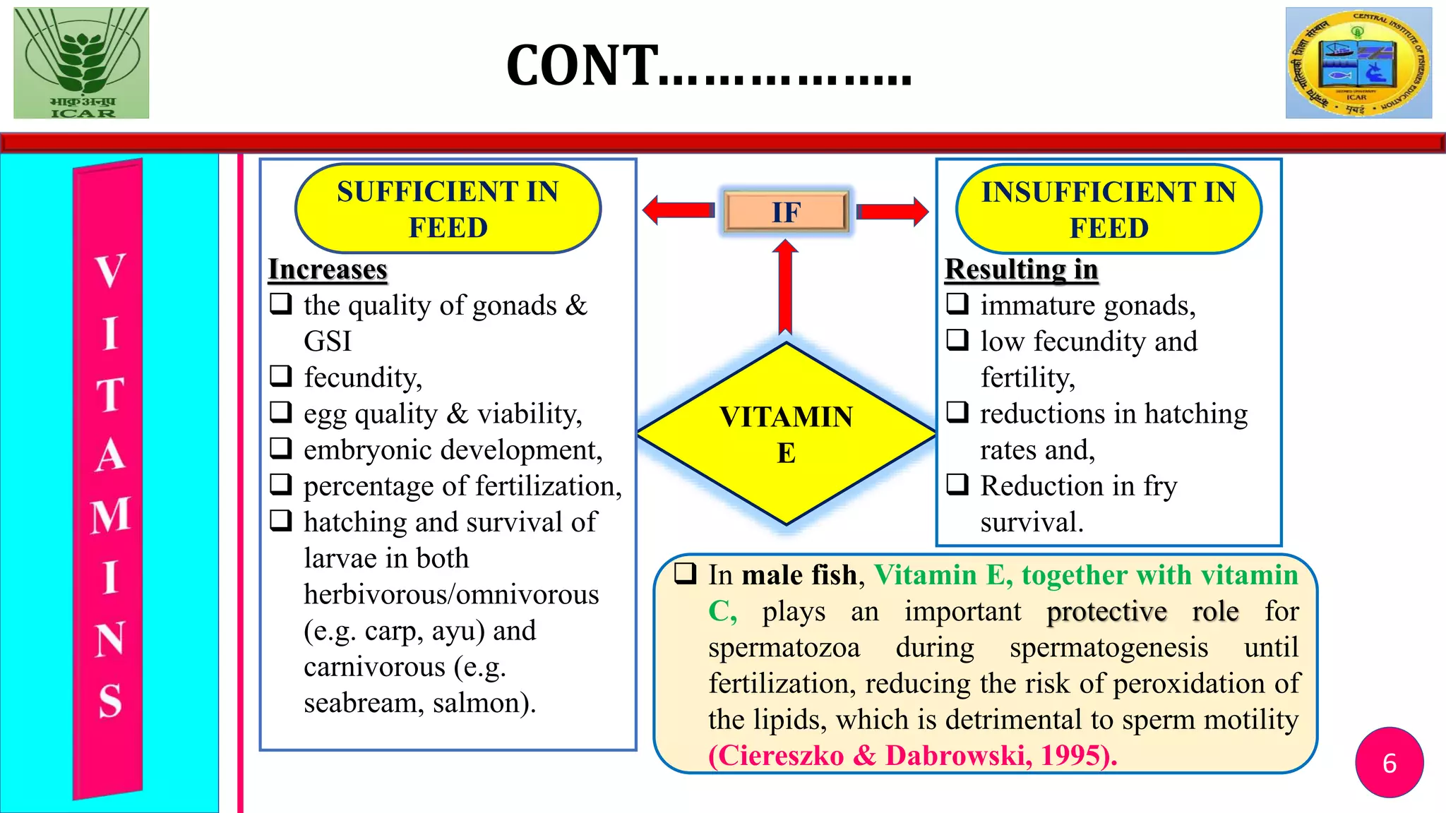 Relationship between feeding and reproduction in fish | PPTX