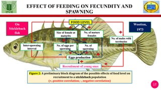 Relationship between feeding and reproduction in fish | PPTX