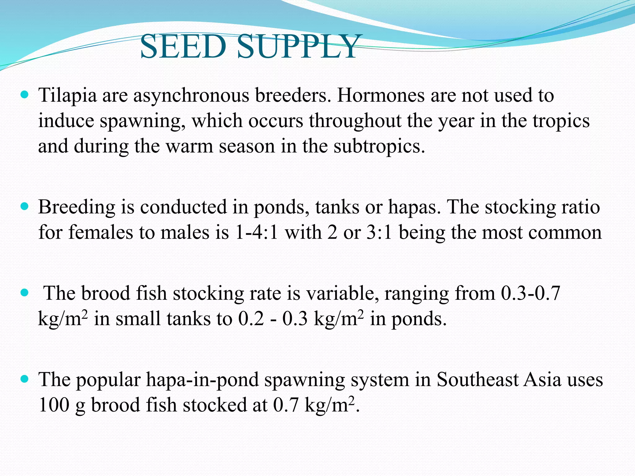 Presentation1.pptx tilapia | PPTX
