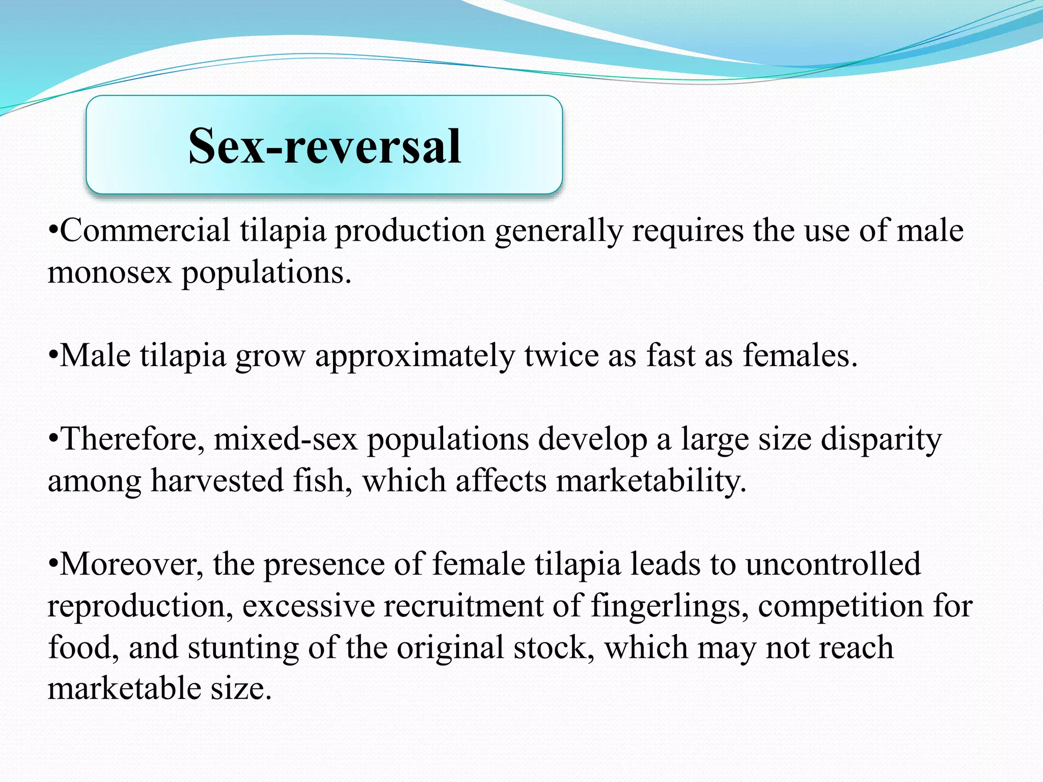 Presentation1.pptx tilapia | PPTX