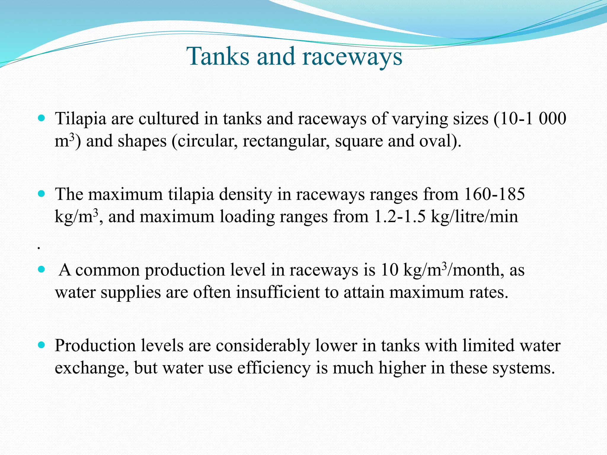 Presentation1.pptx tilapia | PPTX
