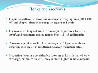 Presentation1.pptx tilapia | PPTX
