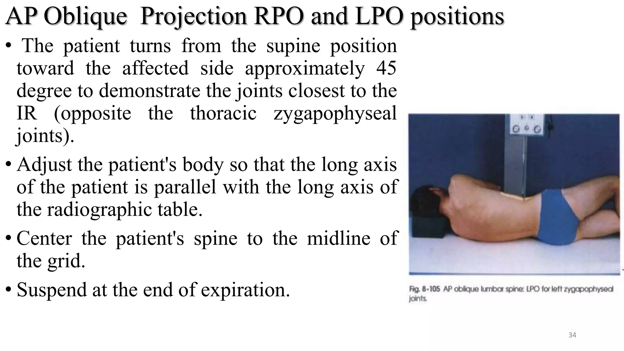 Presentation1.pptx thoraccic and lumber spine | PPTX