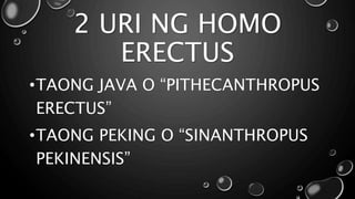 ebolusyon | PPT | Free Download