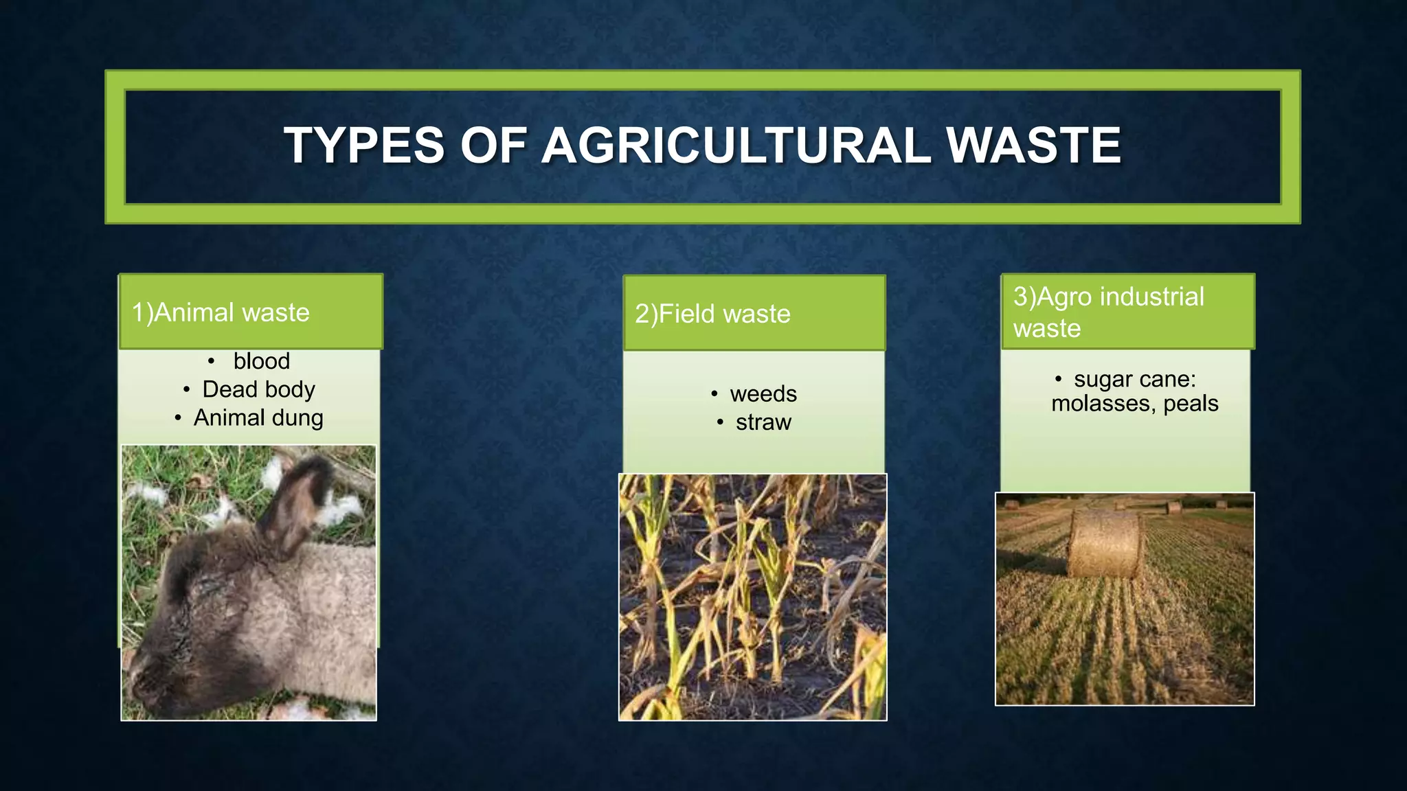 Agricultural waste management | PPTX