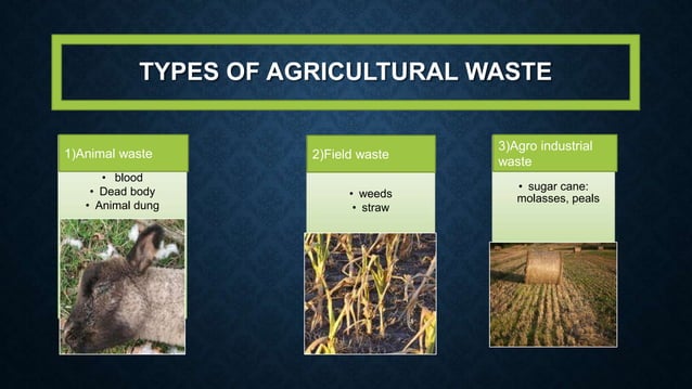 Agricultural waste management | PPTX | Agriculture | Industries