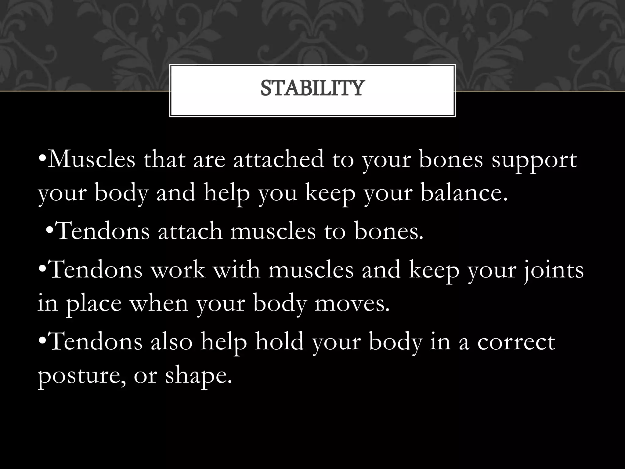 introduction to muscular system | PPTX