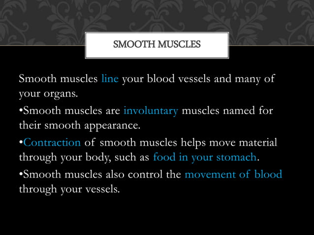 introduction to muscular system | PPTX | Heart and Cardiovascular ...