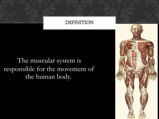 introduction to muscular system | PPTX