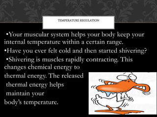 introduction to muscular system | PPTX