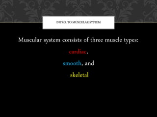 introduction to muscular system | PPTX