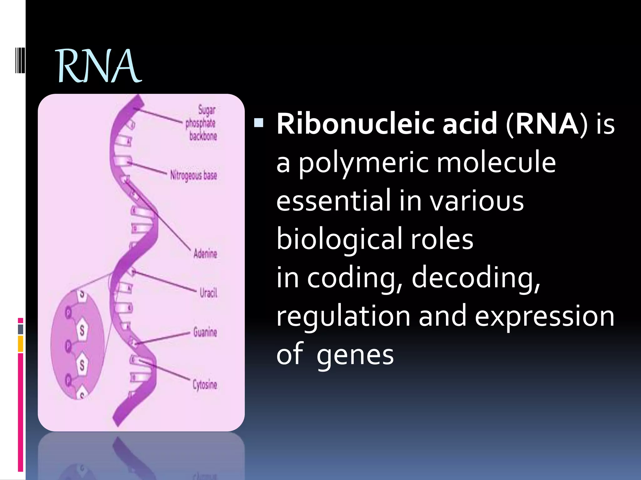 RNA AS GENETIC MATERIAL | PPTX