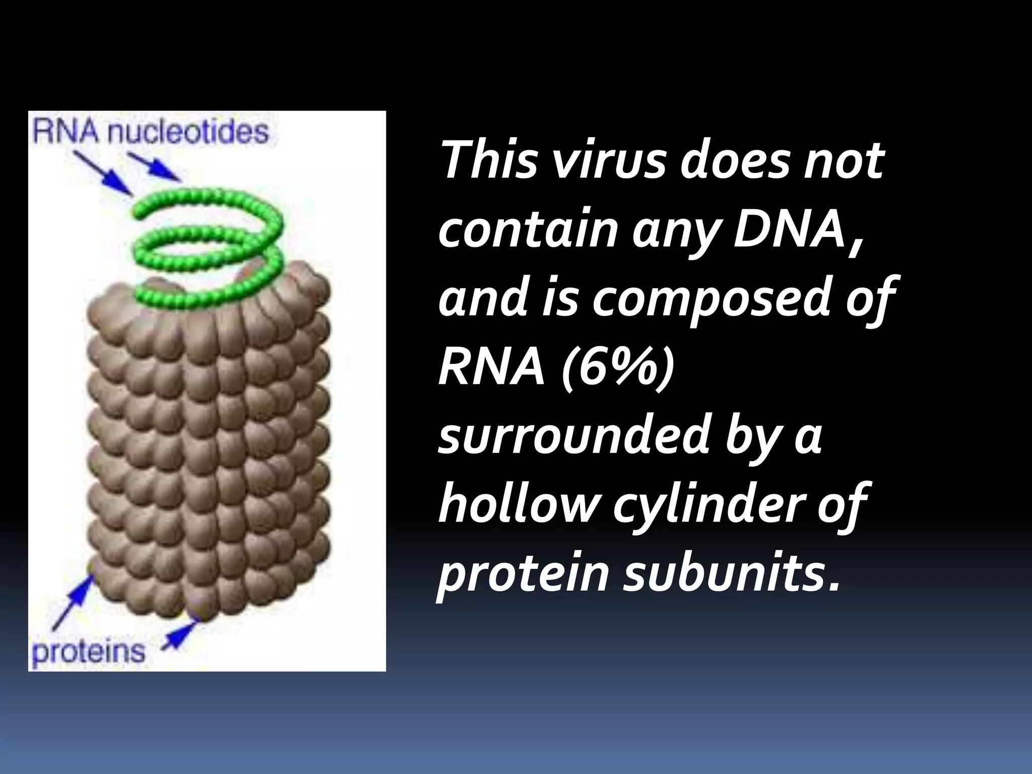 RNA AS GENETIC MATERIAL | PPTX
