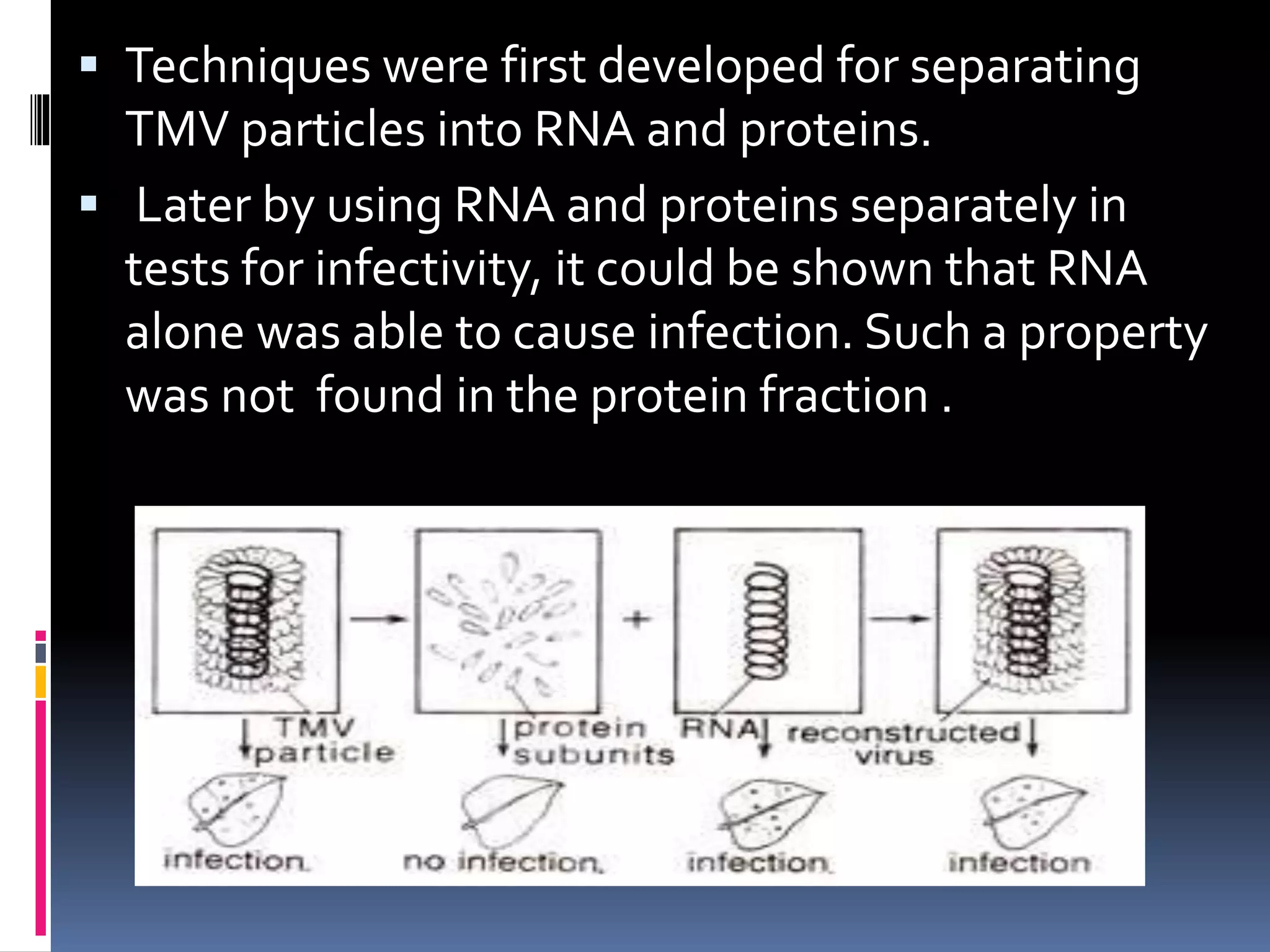 RNA AS GENETIC MATERIAL | PPTX