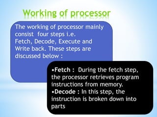 Presentation on Computer Processor | PPTX