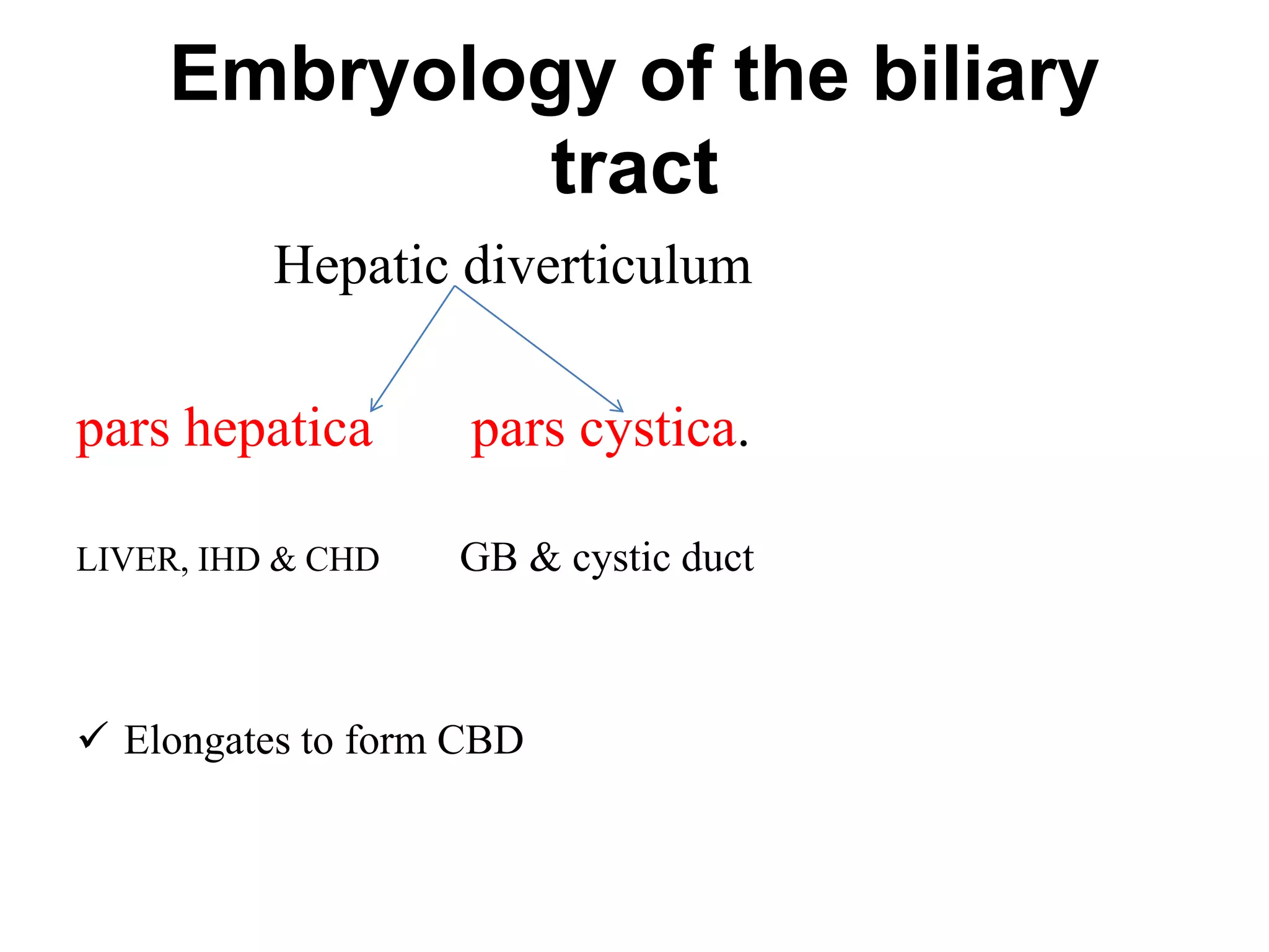 hepatobiliary imaging anatomy, Radiology | PPTX
